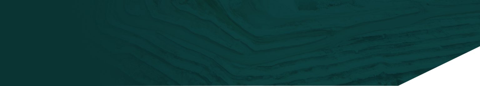 News - Micon International