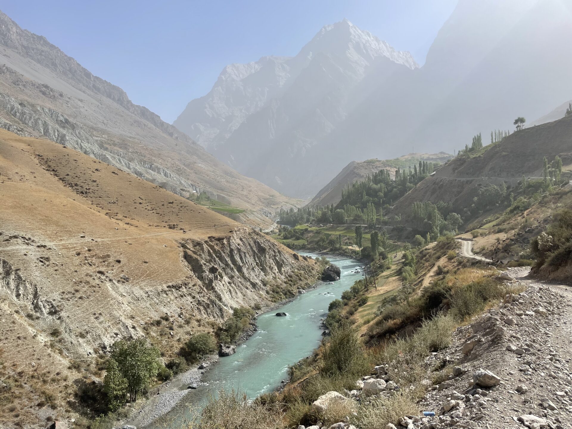 Home - Micon International