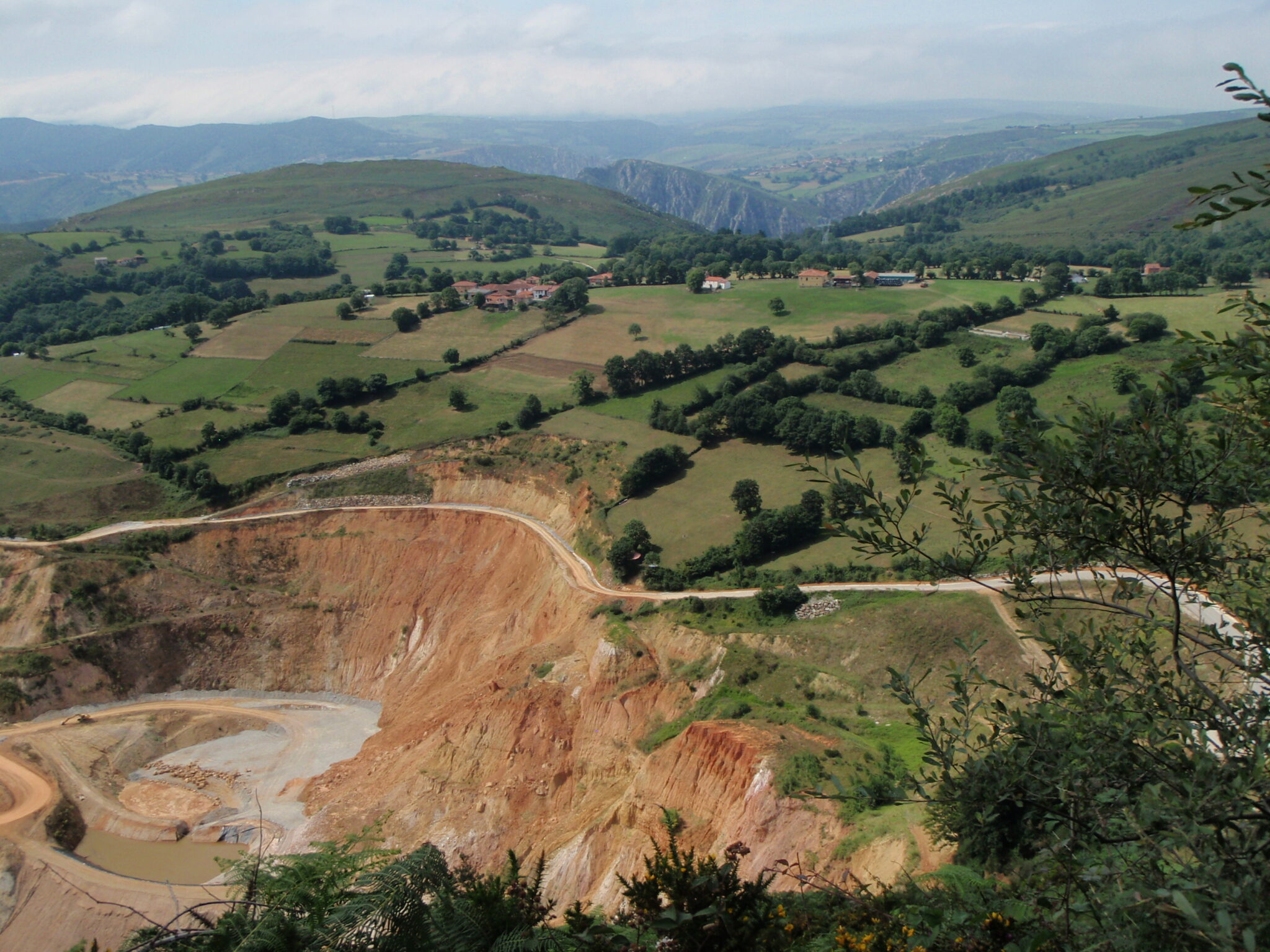 Home - Micon International